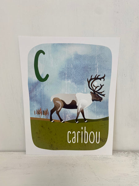 Alaska A to Z Alphabet Cards - Classroom Display Set – Wren Wholesale